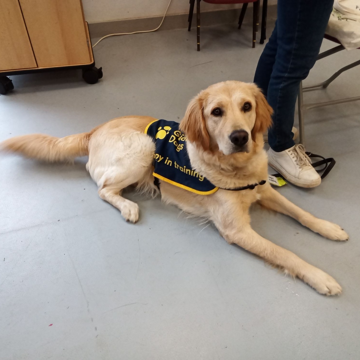Guide Dog Visit - St John's CE First School